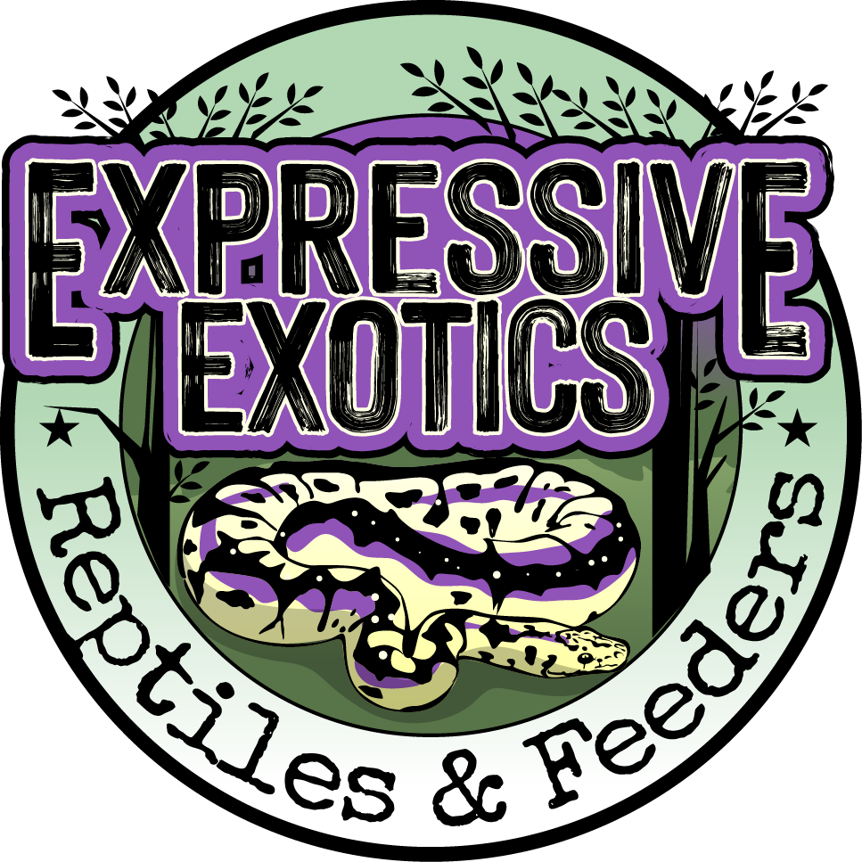 Expressive Exotics Reptiles & Feeders – Expressive Exotics Reptiles ...